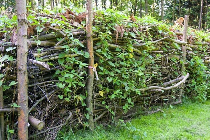 ¿Cómo hacer una verja natural y viva con restos de poda? - Recrea Project